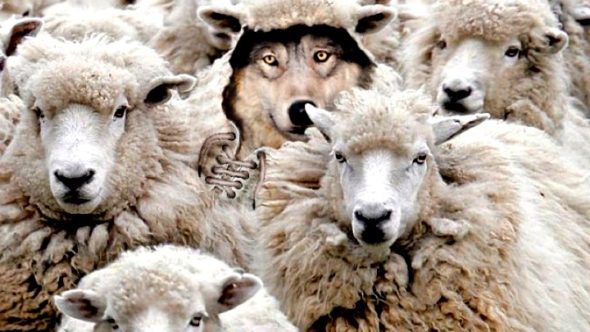 (Podcast 5.31.21) 5 Signs of a False Shepherd